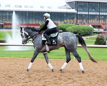 Caldera - Horse Profile - BloodHorse