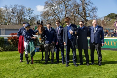 Henri Matisse (IRE) - Horse Profile - BloodHorse