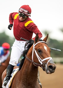 Journalism - Horse Profile - BloodHorse