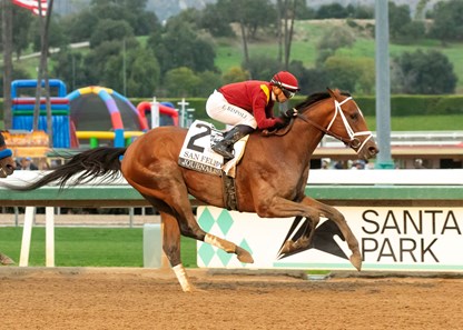 Journalism - Horse Profile - BloodHorse