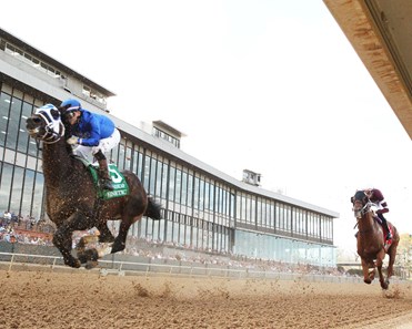 Red Route One - Horse Profile - BloodHorse