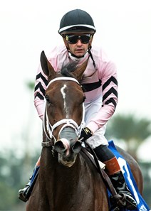 Liguria - Horse Profile - BloodHorse