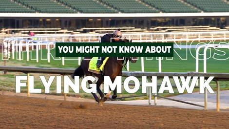 3 Things You Might Not Know About: Flying Mohawk - Video - - BloodHorse