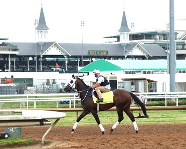 Render Judgment - Horse Profile - BloodHorse