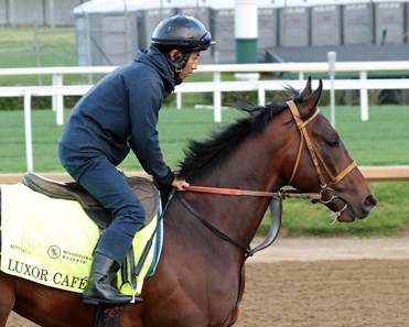 Luxor Cafe - Horse Profile - BloodHorse