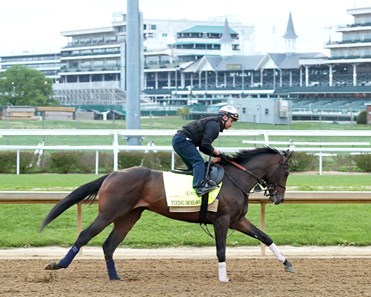 Flying Mohawk - Horse Profile - BloodHorse