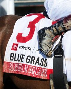 Burnham Square - Horse Profile - BloodHorse