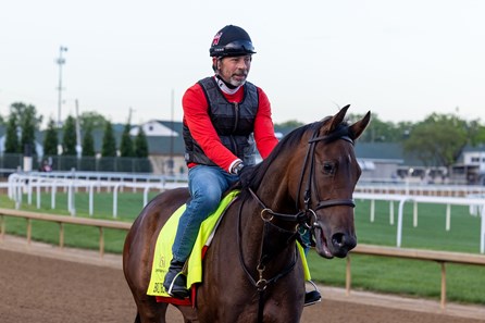 Burnham Square - Horse Profile - BloodHorse