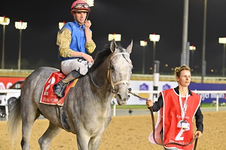 Hit Show - Horse Profile - BloodHorse