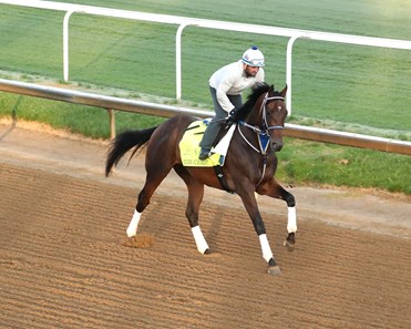 Render Judgment - Horse Profile - BloodHorse