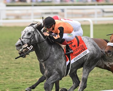 Seminole Chief - Horse Profile - BloodHorse