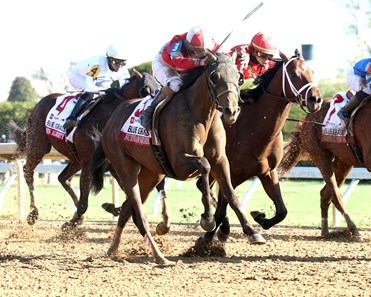 Burnham Square - Horse Profile - BloodHorse