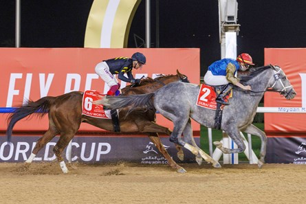 Hit Show - Horse Profile - BloodHorse