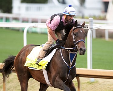 Render Judgment - Horse Profile - BloodHorse