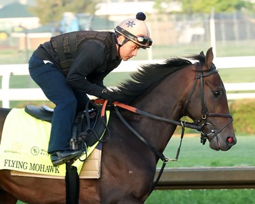 Flying Mohawk - Horse Profile - BloodHorse