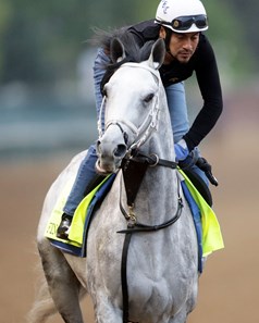 Final Gambit - Horse Profile - BloodHorse