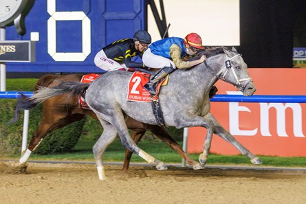 Hit Show - Horse Profile - BloodHorse