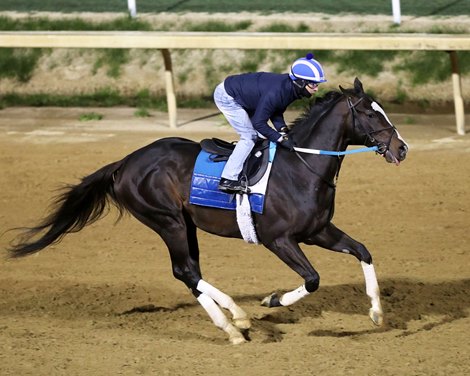 Tiztastic, Publisher Back on Derby Work Tab After Rain - BloodHorse