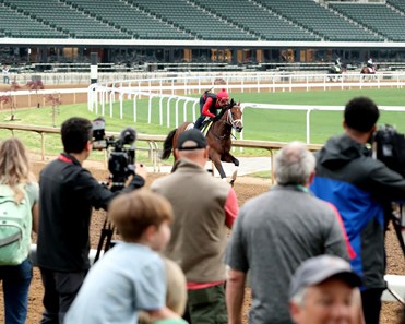 Grande - Horse Profile - BloodHorse