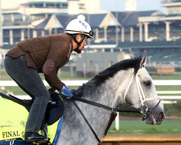 Final Gambit - Horse Profile - BloodHorse