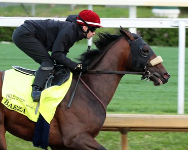 Baeza - Horse Profile - BloodHorse