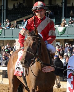 Burnham Square - Horse Profile - BloodHorse