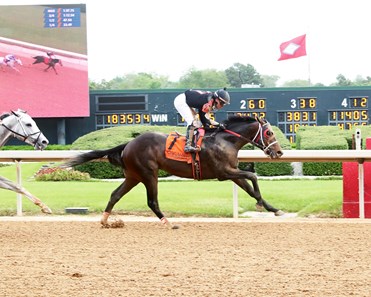 Super Cruise - Horse Profile - BloodHorse