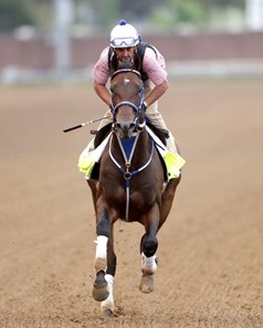 Render Judgment - Horse Profile - BloodHorse