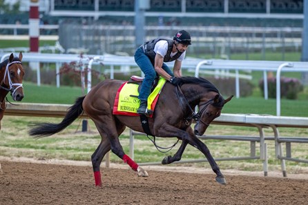 Burnham Square - Horse Profile - BloodHorse