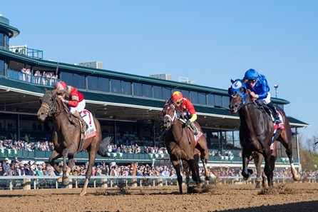 Burnham Square - Horse Profile - BloodHorse