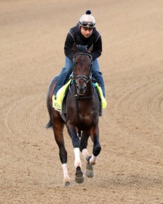 Flying Mohawk - Horse Profile - BloodHorse