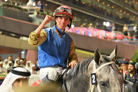 Hit Show - Horse Profile - BloodHorse