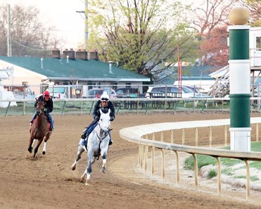 Final Gambit - Horse Profile - BloodHorse