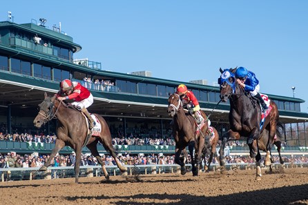 Burnham Square - Horse Profile - BloodHorse