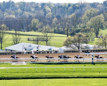 Burnham Square - Horse Profile - BloodHorse