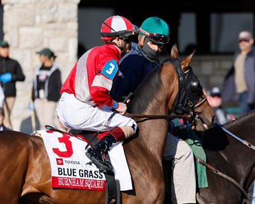 Burnham Square - Horse Profile - BloodHorse