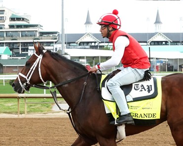 Grande - Horse Profile - BloodHorse