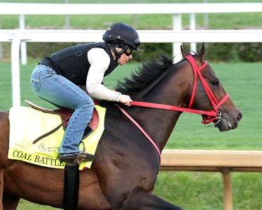 Coal Battle - Horse Profile - BloodHorse