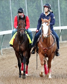 Burnham Square - Horse Profile - BloodHorse