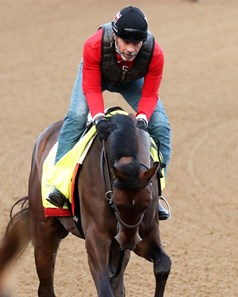 Burnham Square - Horse Profile - BloodHorse