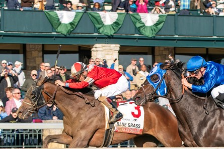 Burnham Square - Horse Profile - BloodHorse