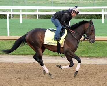 Flying Mohawk - Horse Profile - BloodHorse