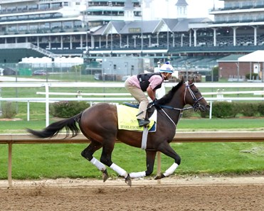 Render Judgment - Horse Profile - BloodHorse