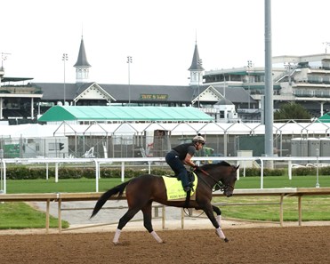 Flying Mohawk - Horse Profile - BloodHorse