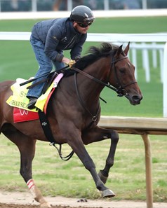 Burnham Square - Horse Profile - BloodHorse