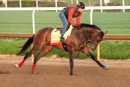 Burnham Square - Horse Profile - BloodHorse
