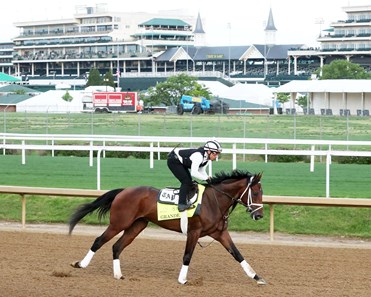 Grande - Horse Profile - BloodHorse