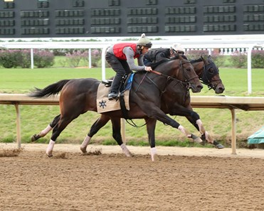 Flying Mohawk - Horse Profile - BloodHorse