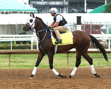 Render Judgment - Horse Profile - BloodHorse