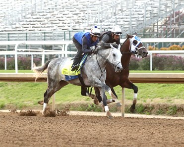 Final Gambit - Horse Profile - BloodHorse